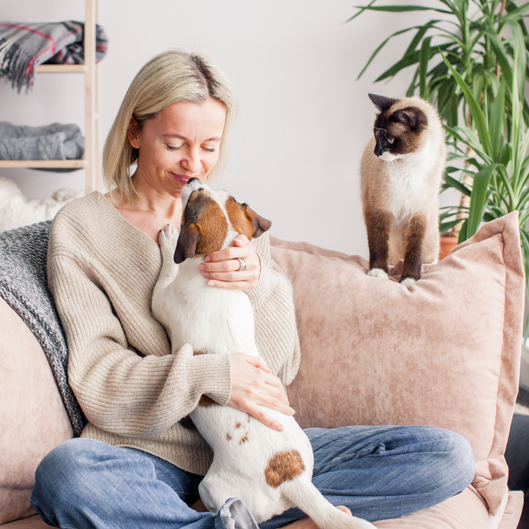 Offizielles Hoover® Online Shop – Hoover Germany